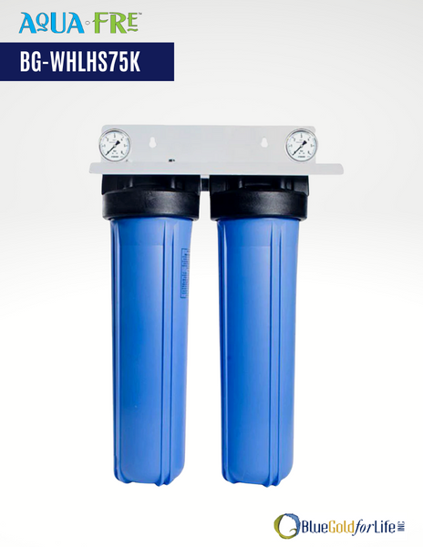 Big Blue Dual-Stage 1" Ports Whole House Water Filtration System – Blue ...